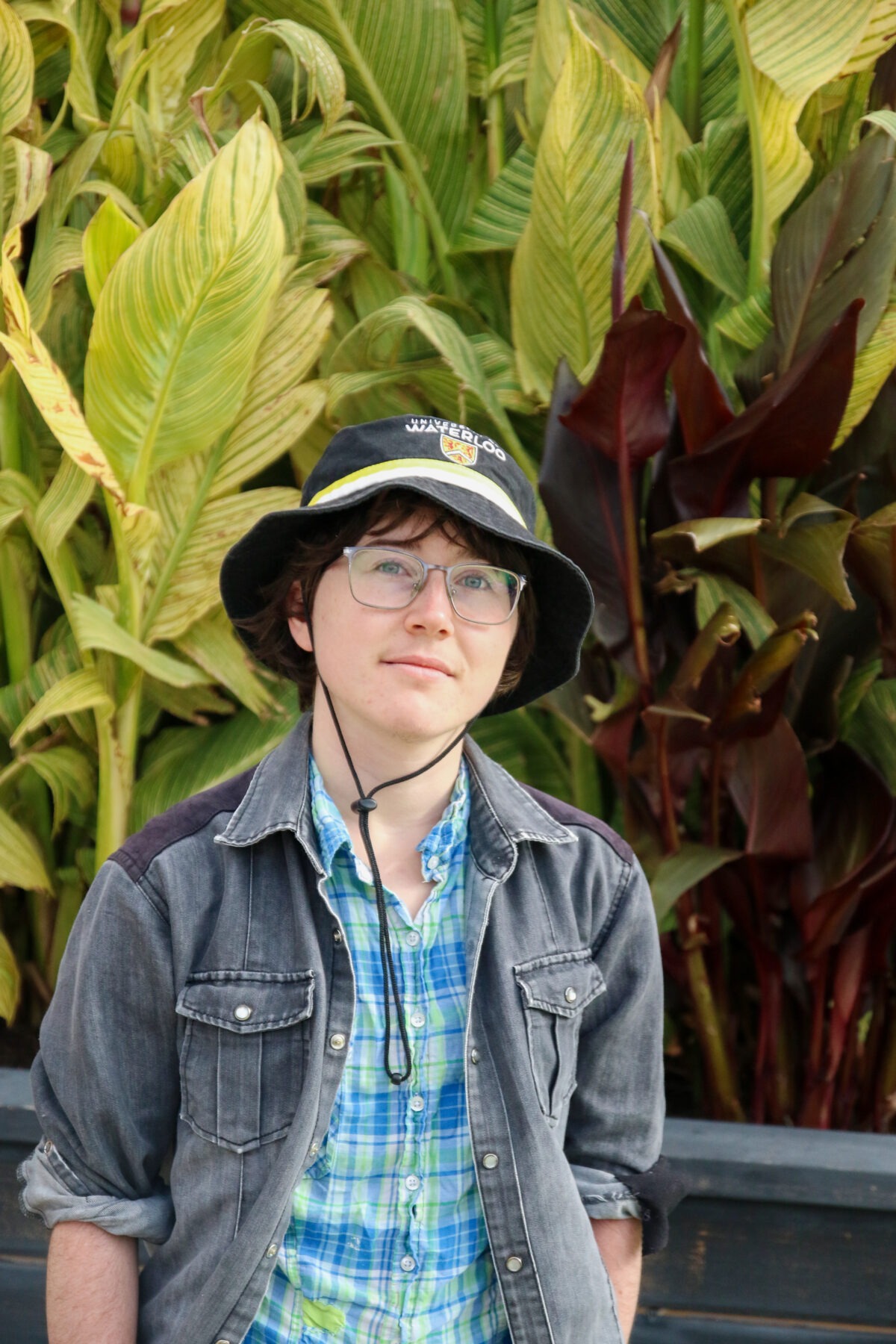 Bardish Chagger wins fourth term as Waterloo MP, Liberals projected to ...